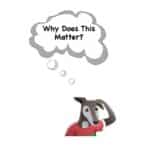 Redirection to Promote Better Classroom Behavior - Rusty the Greyhound ...